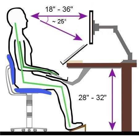 Bring Ergonomics into Your Workplace! | Davies Office